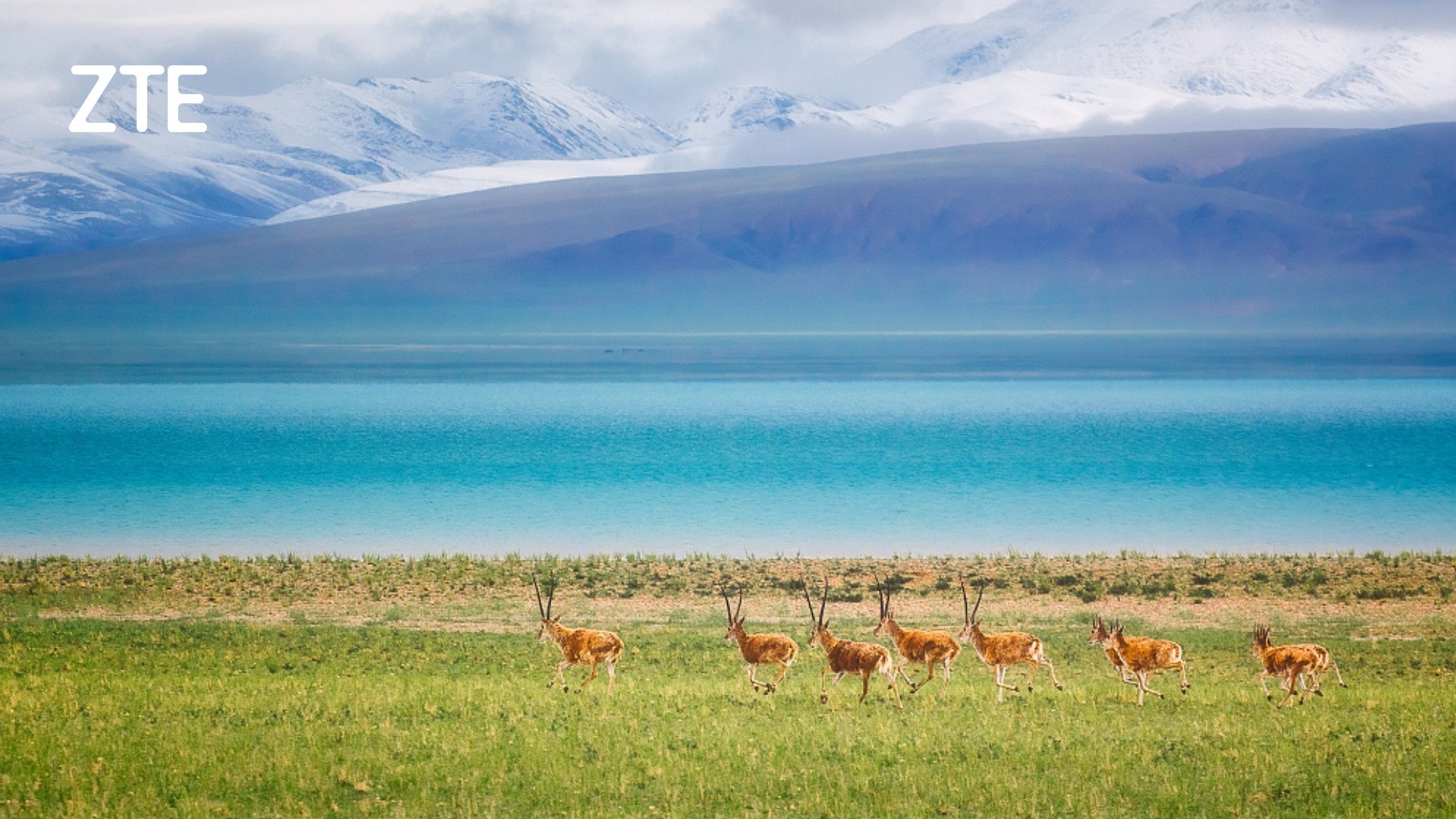 5G-Advanced - Wireless Access | ZTE